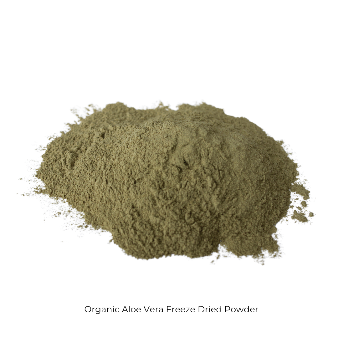 Organic Aloe Vera Freeze Dried Powder 1kg – Chemisential